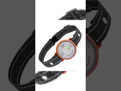 China App Control Pet Training Products Bluetooth Waterproof Electric GPS Shock Collar for sale