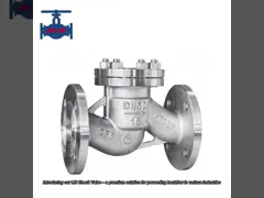 Lift Check Valve
