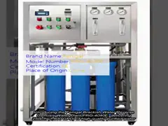 Brackish Water Reverse Osmosis Water Plant 250L/h (1,600 GPD)
