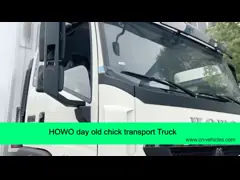 시노트럭 하우 하루 된 아기 운송 트럭