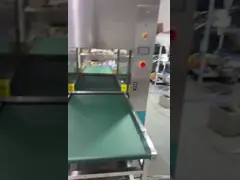 Roller & Conveyor Line Pass-Through Windows | Cross-Contamination Control Solutions