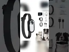 China Metal Battery Powered Pet Camera Collar IP67 HD Wireless Large Capacity for sale