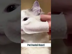 China Pet Friendly Antibacterial Cat Dog Ear Cleaning Tool Latex Free FDA Approved for sale