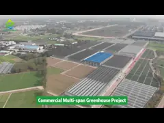 Poly Plastic Film Tunnel Multi-span Agricultural Vegetable Growing Greenhouse