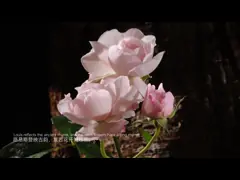 China Moisture Proof Decorative Base Paper Easy Maintenance And Easy Cleaning for sale