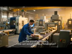 China Auto Weighing Rejecting Machine For Food Industry Conveyor Packaging Checkweigher 300g-30kg Weight Sorting Machine for sale