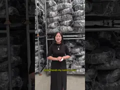 China Putanka Wire MZP Barrier tank Barrier Obstacle Low Visibility Mesh Net Woven tank Wire Mesh MZP Wire Mesh for sale