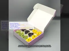 Pastel Postre Panadería Pastelería Queso Caja Desechable Sushi Comercial Restaurante Comida para llevar bandeja de almuerzo Caja de embalaje con inserto