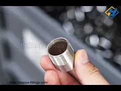 Stainless Steel SS304 SS316 Pipe Female Thread Coupling