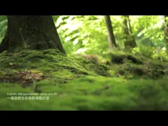 China Weather Resistant Wood Grain Cabinet Paper For Laminate And Wood Based Substrates for sale