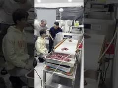 China Profi-Auto-Fahrzeug Edelstahl Käse Cracker Meeresfrüchte Milch Kekse Fleisch Lebensmittel Metalldetektor CE-zertifiziert zu verkaufen