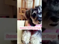 China Custom Sizes Quick Dry Pet Clothing Breathable Cat Wearing Clothes Anti Allergy for sale