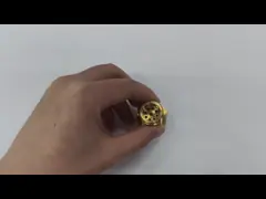 Cina PTFE Transparent Seal Materiale superiore Hermetic Visual Panel per prestazioni ottimali di sigillamento in vendita