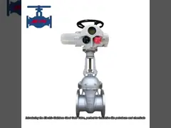 Electric Stainless Steel Gate Valve