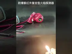 IP66 Detettore di fiamma a prova di esplosione a infrarossi per il sistema di allarme di sicurezza antincendio