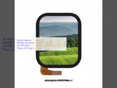 China 1.952 Inch AMOLED Display Module AMOLED OLED Display  410*502 Dots 24 Pin CO5300AF-46 for sale