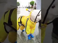 China Quick Drying Pet Clothing Water Repellent Stormproof Dog Wear Raincoat Tear Resistant for sale