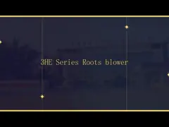 China Advanced Roots Vacuum Pumps for High Vacuum Extraction in Industrial Settings for sale