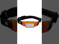 China Electronic Dog Bark GPS Tracking Shock Collar Waterproof Hypoallergenic Voice Control for sale