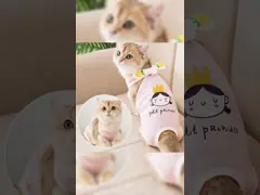 China Summer Wear Adjustable Waistband Waterproof Coat Dog Clothes Soft Lightweight for sale