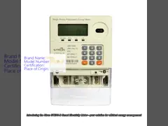 100m Communicatiebereik STE18 B Eenfasige Prepaid Elektriciteitsmeter met AMI Slimme Meter en Stronpay Verkoopsoftware