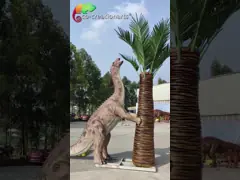 China Manufacturer Life Size Simulation Shunosaurus Animatronic Dinosaur Model For Amusemen Park for sale