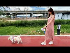 China Retractable Personalized Dog Leash 360° Tangle Free Pet Leash With Light for sale