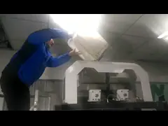 China Desiccated Coconut CCD Color Sorting Machine for Removing Black Yellow Color Pieces Sorters for sale