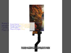 400nits 5.98 Inch TFT LCD Display Module with MIPI Interface Resolution 1440x2560 Optional CTP