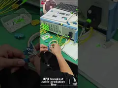 High-density кабель MTP MPO - разъём-вилка сборок кабеля гидры сердечника LC 12 с обводными штифтами