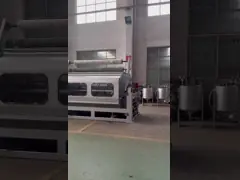 China Double Frequency Converter Jig Dyeing Machine for sale