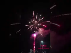Liuyang Mandarin Fireworks Pyrotechnics 116 Shots Consumer Wholesales Cake Fireworks New Fireworks