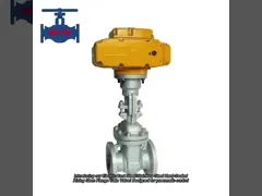 China Electric Cast Steel / Stainless Steel Hard-sealed Rising Stem Flange Gate Valve for sale