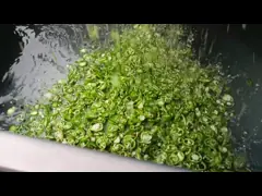 Automatic Fruit and Vegetable Washing Machine