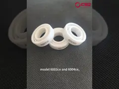 6003ce 6004ce Ceraminc Ball Bearing