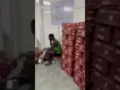 China LED Digital Display Chicken Hatching Machine 50kg for sale