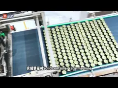 China Fully Automatic High-Speed Operation Retort Basket Loading System for 500 Sets/Year Can Handling Equipment for sale