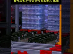 Max 3500kg Pallet Automatic Racking System AS-RS Stacker With Double Column