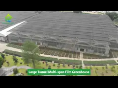 Commercial Multi-span Large Film Greenhouse Project