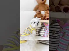 China Machine Washable Pet Clothing Multi Scene Wear Pet T Shirt Waterproof Breathable for sale