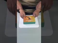 China Adjustable Pet Training Products remote Dog Training Collar With GPS Tracking for sale