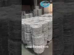 Cina Filo spinato in acciaio ad alto tenore di carbonio zincato per la sicurezza perimetrale in vendita