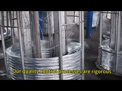 China Galvanized Wire Q195 Zinc Coated Carbon Steel Wire Construction Flat Iron Binding for sale