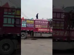 China Personalized Jungle Playground Suit Slide Soft Play Area Kids Playground Equipment Indoor Kids Playground for sale