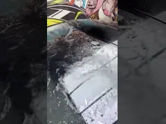NASIDO transparent windshield film Installation Process