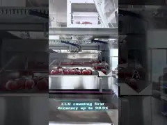 자동 맞춤형 하드웨어 기계로 정밀 계산 및 포장 실현