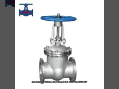 Stainless Steel Flanged Gate Valve