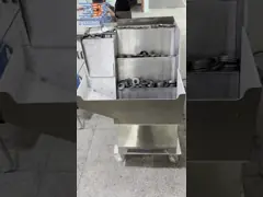 Circular Metal Parts Conveyed by Step Feeder