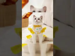 Winter Jacket Glow-in-the-Dark Button-Free Design Cat Clothes Summer Wear