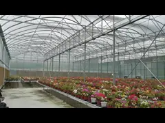 Sawtooth greenhouse with roof vent for natural ventilation